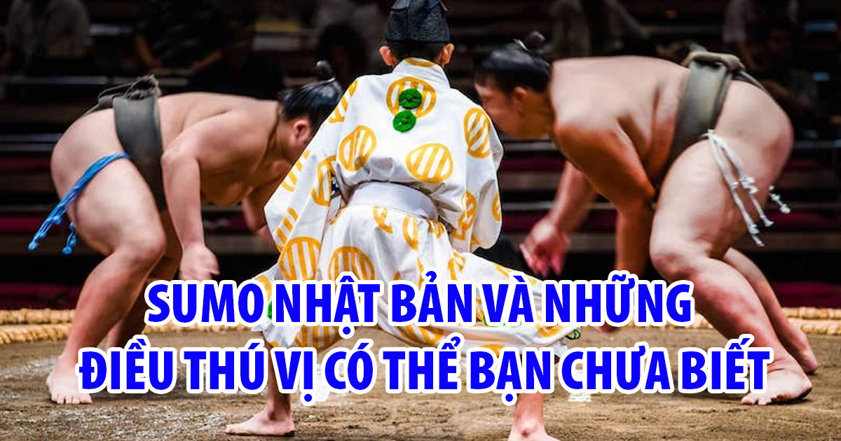 Sumo Nhật Bản và những điều thú vị có thể bạn chưa biết