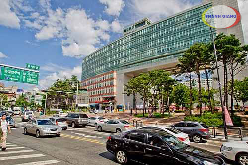 Hongik University - Trường Đại học Hongik Hàn Quốc